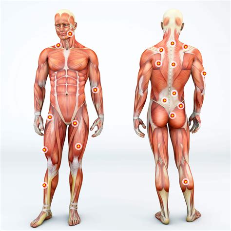 Most Common Trigger Points For Sciatica Sufferers In Lakewood Co