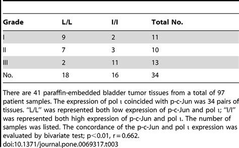 The Expression Of P C Jun Was Correlated With Pol ι In Bladder Cancers