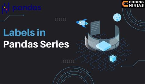Labels In Pandas Series Naukri Code 360