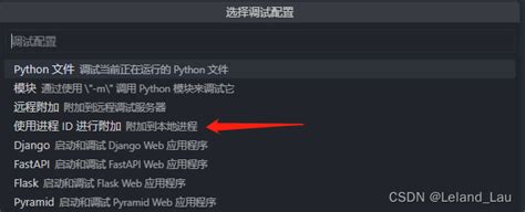 VSCode Python程序附加到进程debug vscode附加到进程 CSDN博客