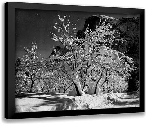 Ansel Adams Snow Tree Half Dome Merced River Winter Yosemite Ansel
