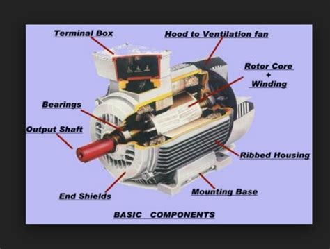 What Are The Basic Components Of An Electric Motor Electrical Industrial Automation Plc
