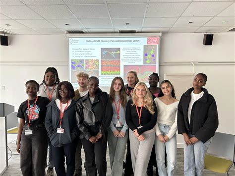 Wolfson Sparc Summer Work Experience 2024 Feature From Kings College London