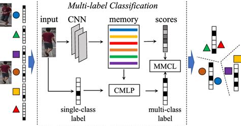 illustrations of the proposed multi label classification for