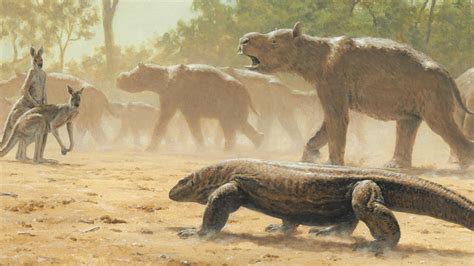 Australias Extinct Megafauna S1 Episode 5 Megalania An Awesome
