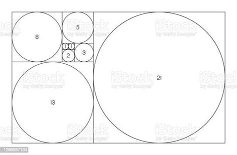 Fibonacci Sequence Of Circles Golden Ratio Geometric Concept Vector Illustration Stock ...