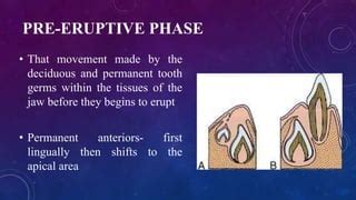 Eruption And Shedding Pptx