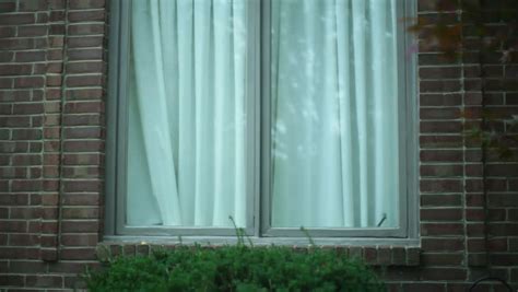Neighbor Through The Window Telegraph