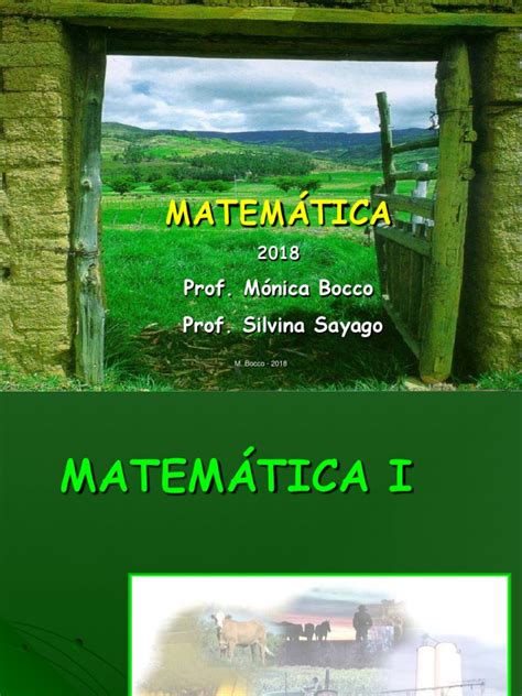 MatemÁtica Prof Mónica Bocco Prof Silvina Sayago M Bocco