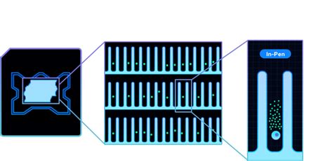 T Cell Profiling Kit Bruker Cellular Analysis