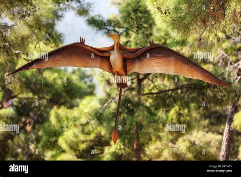 Types Of Dinosaurs Pterodactyl At Patricia Logan Blog