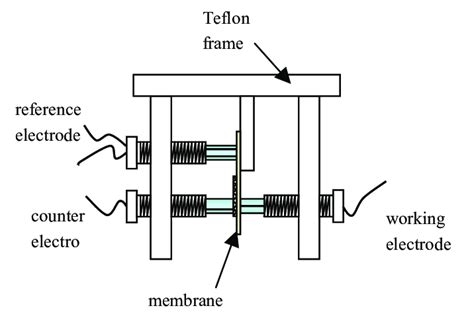 Scheme Of The Microelectrode Cell Used To Study Reactant Gas