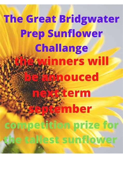 Sam Poster Bridgewater School Prep Department