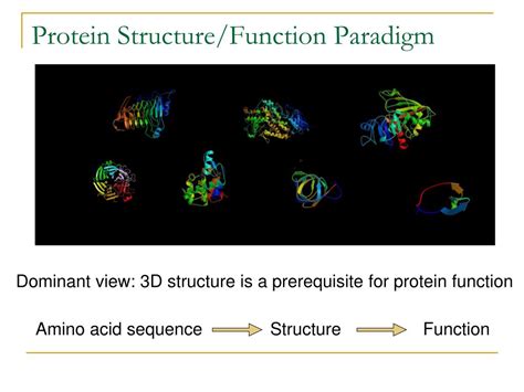 Ppt Prediction Of Protein Disorder Powerpoint Presentation Free