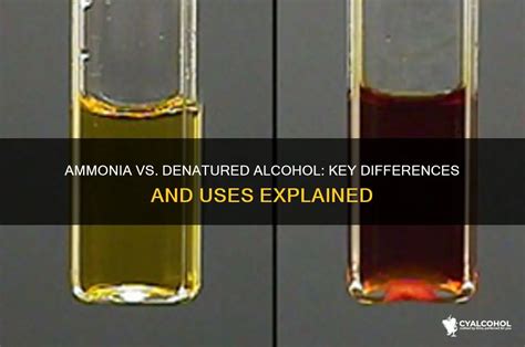Ammonia Vs Denatured Alcohol Key Differences And Uses Explained