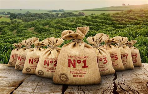 Web Development Company In Bangalore Seo Services Sirixo