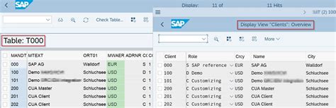 The Top 20 Sap It Base Tables In Sap S4hana Xiting
