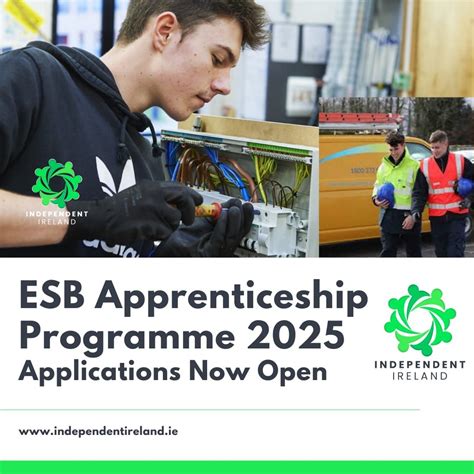 Michael Fitzmaurice Td The Esb Apprenticeship Programme 2025 Is Now