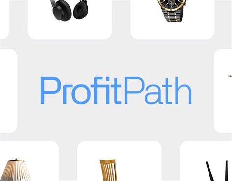 Profitpath Explainer Behance