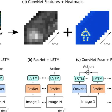 At The Top Human Action Recognition Scheme The Models Take A Sequence Download Scientific