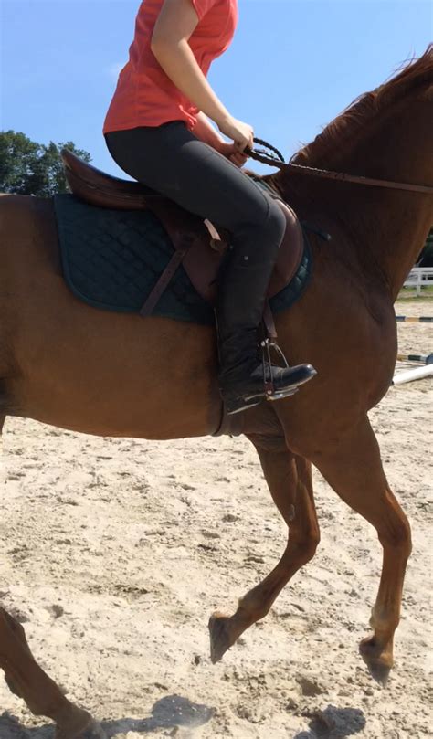 Root Test Calculus Friends