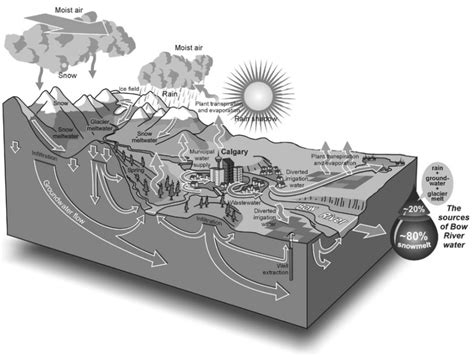 Stylized Depiction Of The Calgary Regional Hydrologic System And The