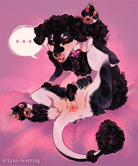 Rule 34 Animal Genitalia Annoyed Anus Black Vulva Bodily Fluids Canid