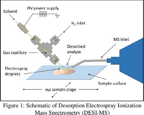 Figure 1 From Desorption Electrospray Ionization Desi Mass