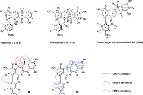 Chemical Skeletons Of Fasamycins 1 3 And Formicamycins 4 16