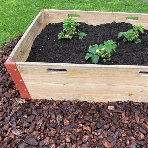 Moestuinbakken Compleet Tuindiversnl