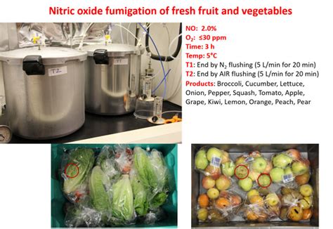 Compare Effects Of Fumigation Treatments Terminated By N 2 Flush And