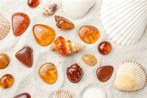 Ambers And Seashells On Sand Background Flat Lay Top View Stock