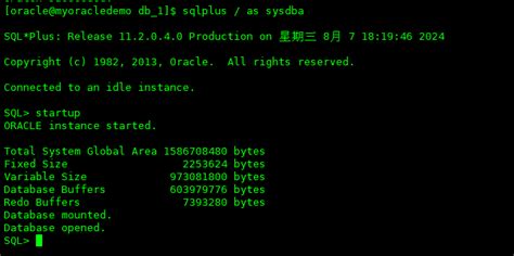 Oracle 11g单机psu手动打补丁教程oracle11g补丁 Csdn博客 Oracle 11g单机psu手动打补丁教程oracle11g补丁 Csdn博客