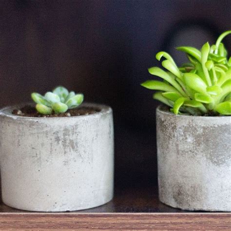 Concrete Planter Boxes In Melbourne Vic Planter Box Builders Cemex