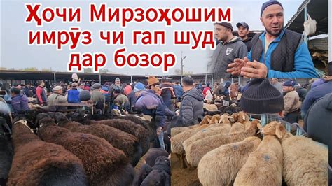 Молбозори шахри Хуҷанд Молҳои майда Ҳочи Мирзоҳошим 🇹🇯 Youtube