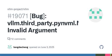 Bug Vllmthirdpartypynvmlnvmlerrorinvalidargument Invalid