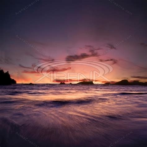 1000 Images About Evan Sharboneau Review On Pinterest