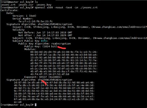 nginx 之 证书配置 译林 博客园