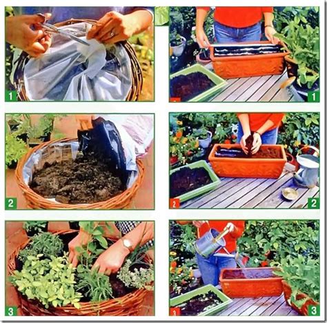 Сад-огород на балконе своими руками | DIY - как сделать самому!