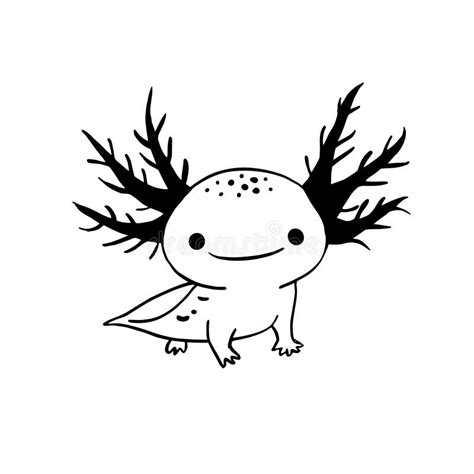 Axolotl Black White Stock Illustrations 469 Axolotl Black White Stock