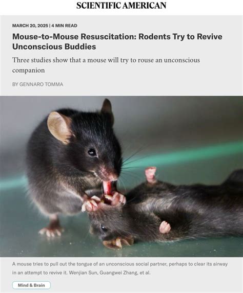 Mouse Cpr Keith King