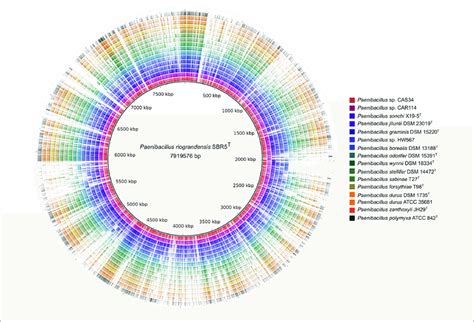 Comparison Of Predicted Proteins Of Paenibacillus Spp Against The P