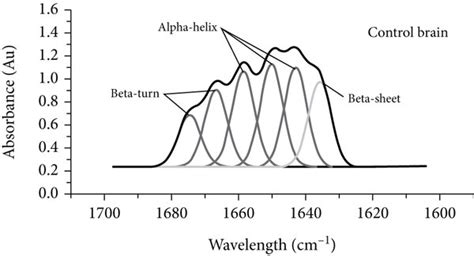The Deconvolution Spectra Of Ftir Due To Amide I 1700 1600 Cm⁻¹ Of