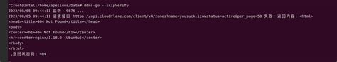 token有效的情况下请求cloudflare的接口失败 · issue 808 · jeessy2 ddns go · github