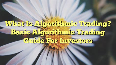 what is algorithmic trading basic algorithmic trading guide