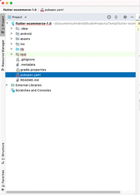 Flutter App Setup Themes Coder