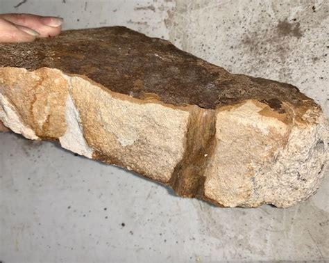 Polystrate What Is A Polystrate Fossil Ask John Mackay Creation Polystrate What Is A Polystrate Fossil Ask John Mackay Creation