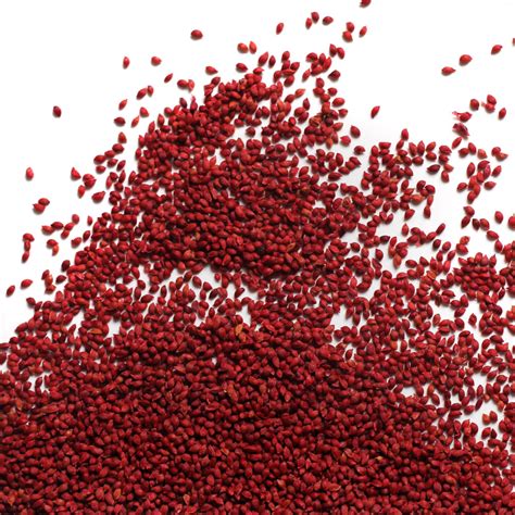 Growing Cranberry Seeds At Patricia Logan Blog