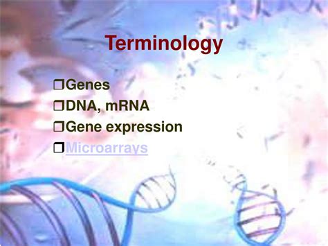 Ppt Selecting Informative Genes With Parallel Genetic Algorithms Powerpoint Presentation Id