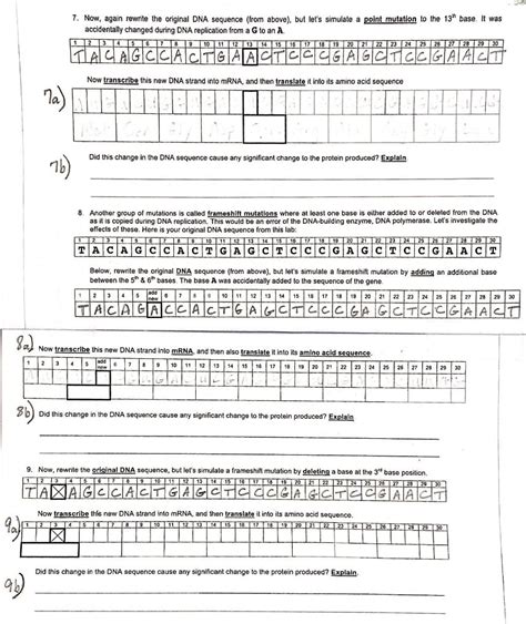 Solved 7 Now Again Rewrite The Original Dna Sequence From